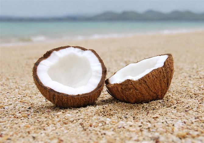 Cocco bello sì o no? - SportOutdoor24