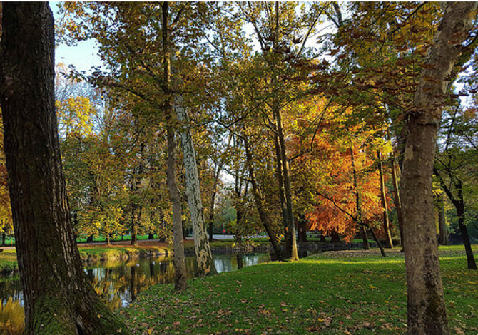 Il Parco Lambro è sempre fra i parchi di Milano più belli in cui fare ...