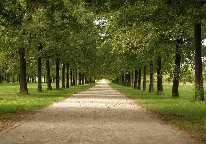 Parco Nord Milano: cosa fare e dove allenarsi