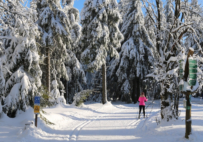 Lo sci di fondo è uno sport per tutti: 7 motivi per provarlo e innamorarsi
