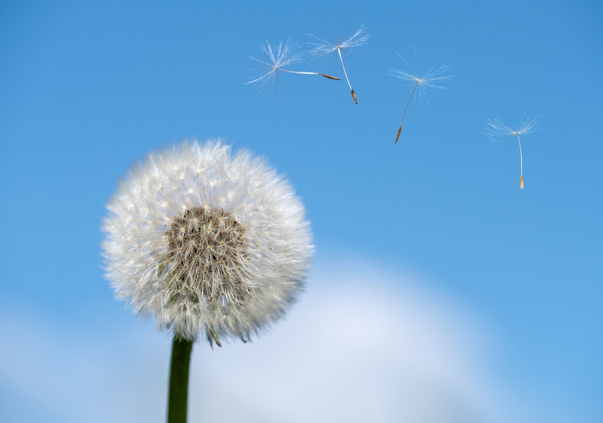 Stanchezza di primavera e gli altri fastidi, come affrontarli Stanchezza di primavera e gli altri fastidi, come affrontarli