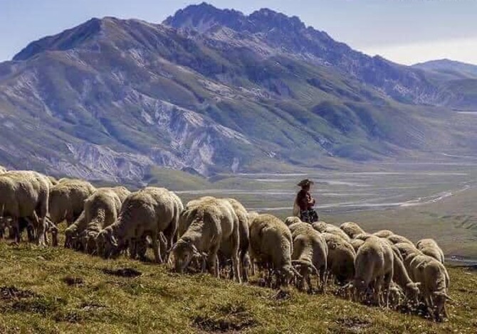 A piedi in Abruzzo e Molise sul Tratturo Magno, la Via della Transumanza