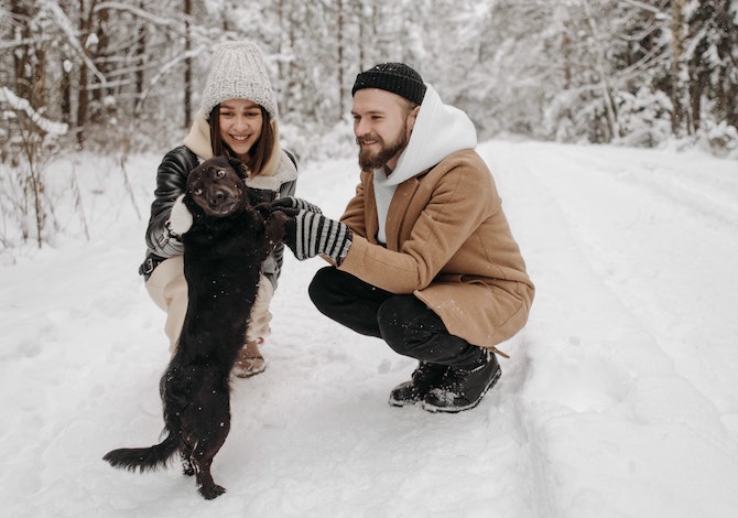 Puoi migliorare il tuo rapporto con il cane con questi 5 consigli ...