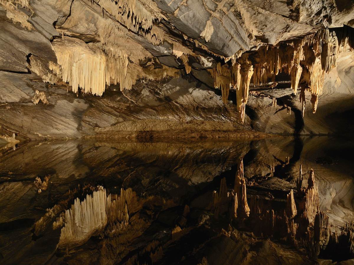 Grotte di Han-sur-Lesse: guida tra abissi e fauna selvatica